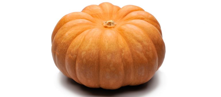 Pumpkin – Kemet Farms