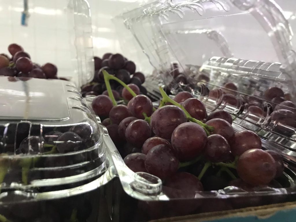 Gallery – Kemet Farms